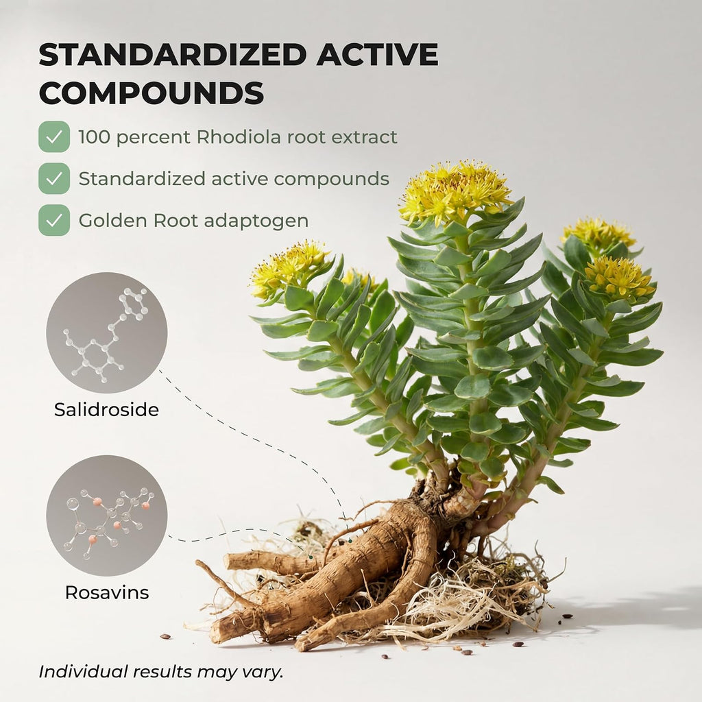 Salvora Rhodiola Rosea benefits