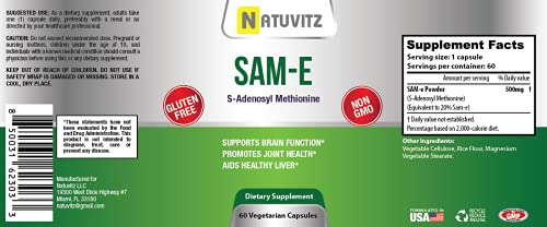 Sam-E brain supplement for memory