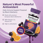 Sambucol black elderberry health benefits