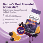 Sambucol black elderberry immune support
