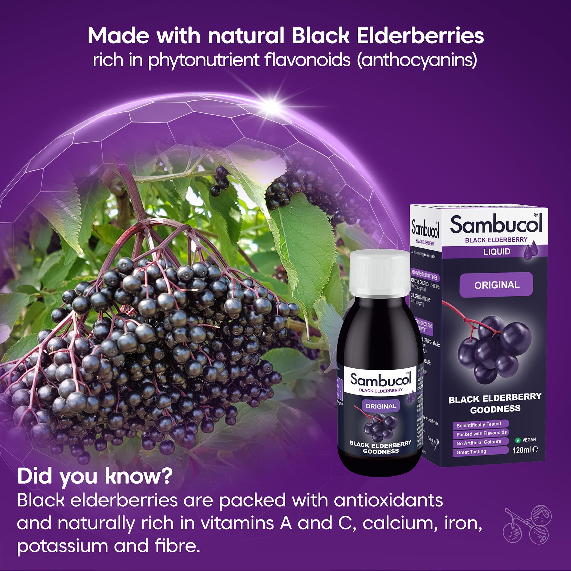 Sambucol black elderberry syrup