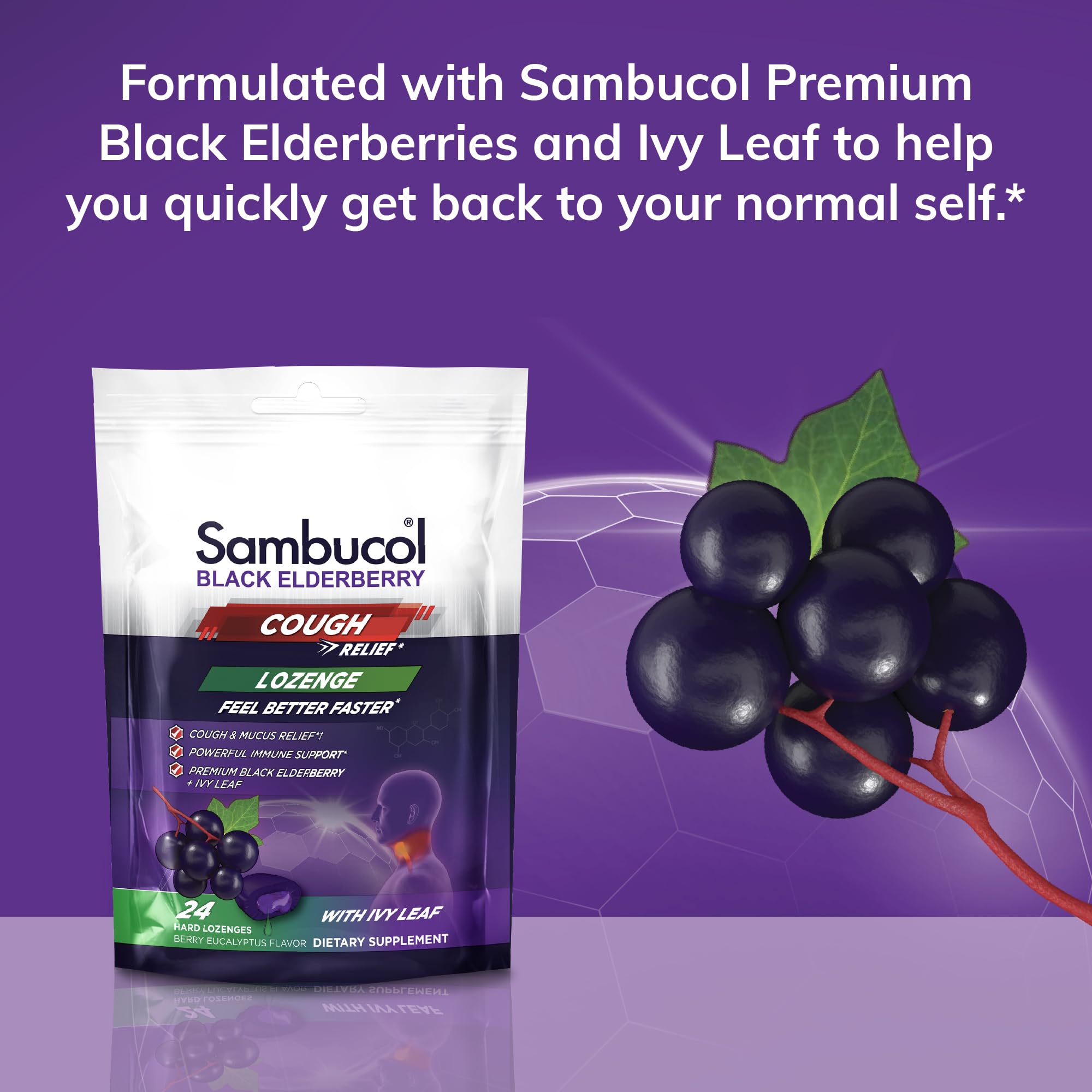 Sambucol elderberry for seasonal wellness