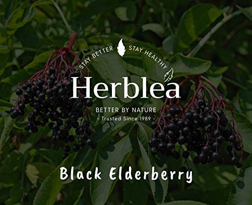 sambucus elderberry extract for vitality