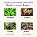 Sambucus elderberry for everyday health