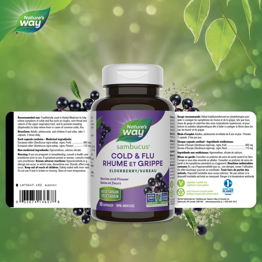 Sambucus elderberry for overall health