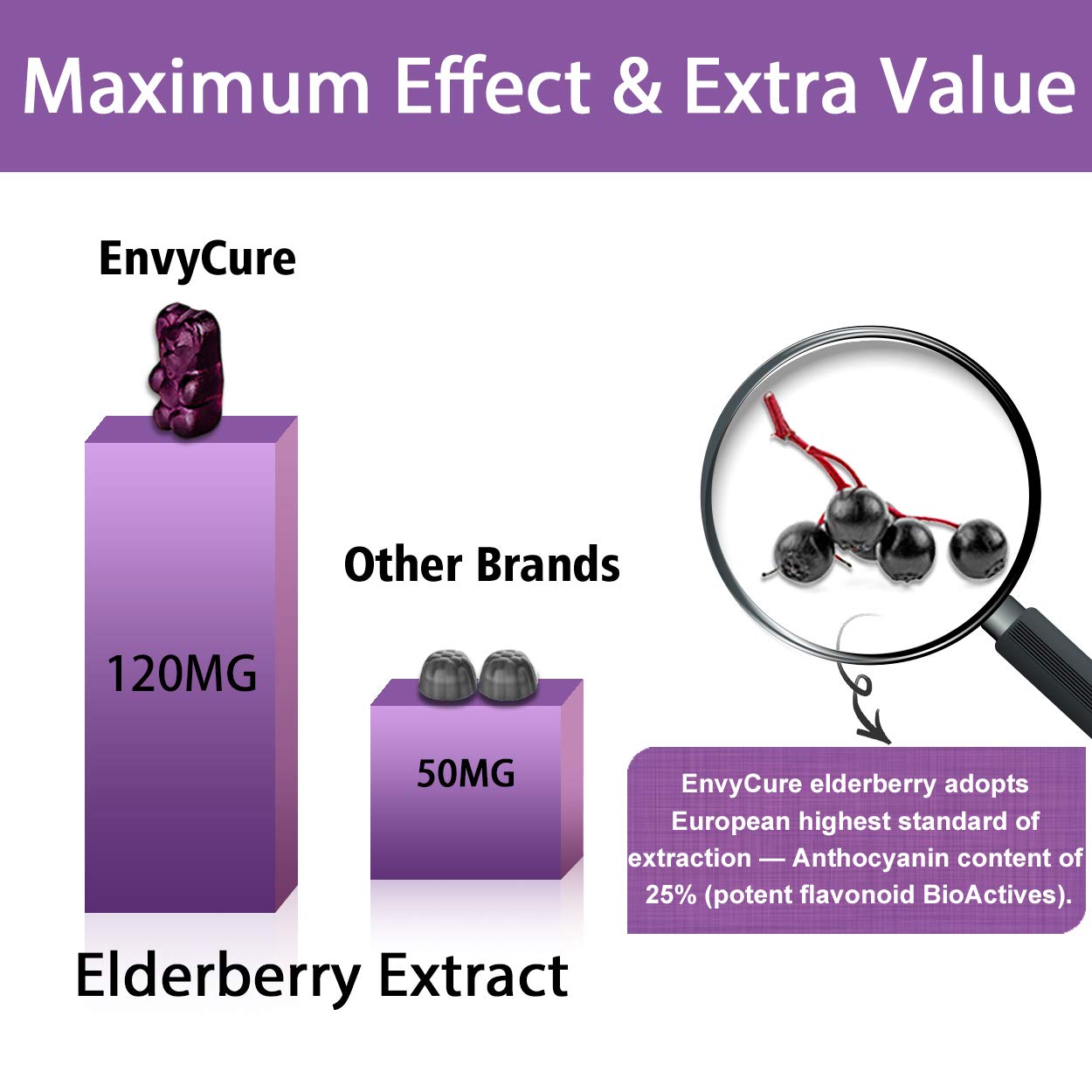 sambucus elderberry for seasonal wellness
