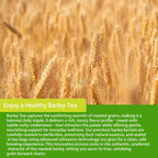 Samcci barley tea for relaxation