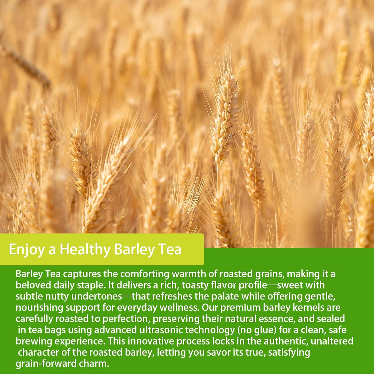 Samcci barley tea for relaxation