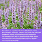 Samcci herbal tea bags for immune support