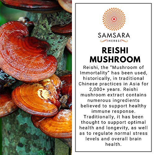 Samsara Herbs reishi for vitality