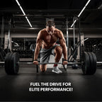SAN creatine 240 servings value