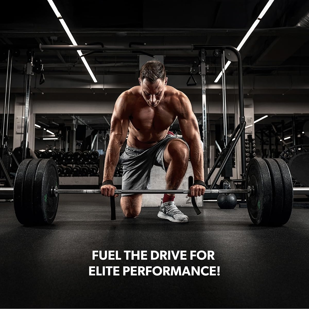 SAN creatine 240 servings value
