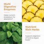 Sandhu's enzymes for gut health