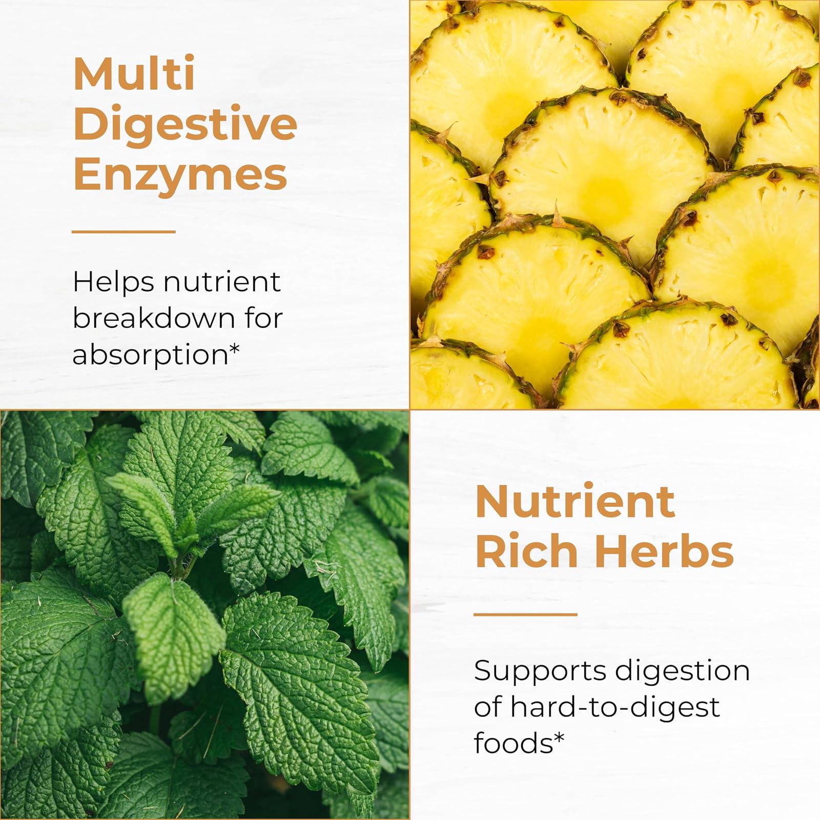 Sandhu's enzymes for gut health