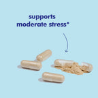 Santo Remedio ashwagandha 500 mg dosage