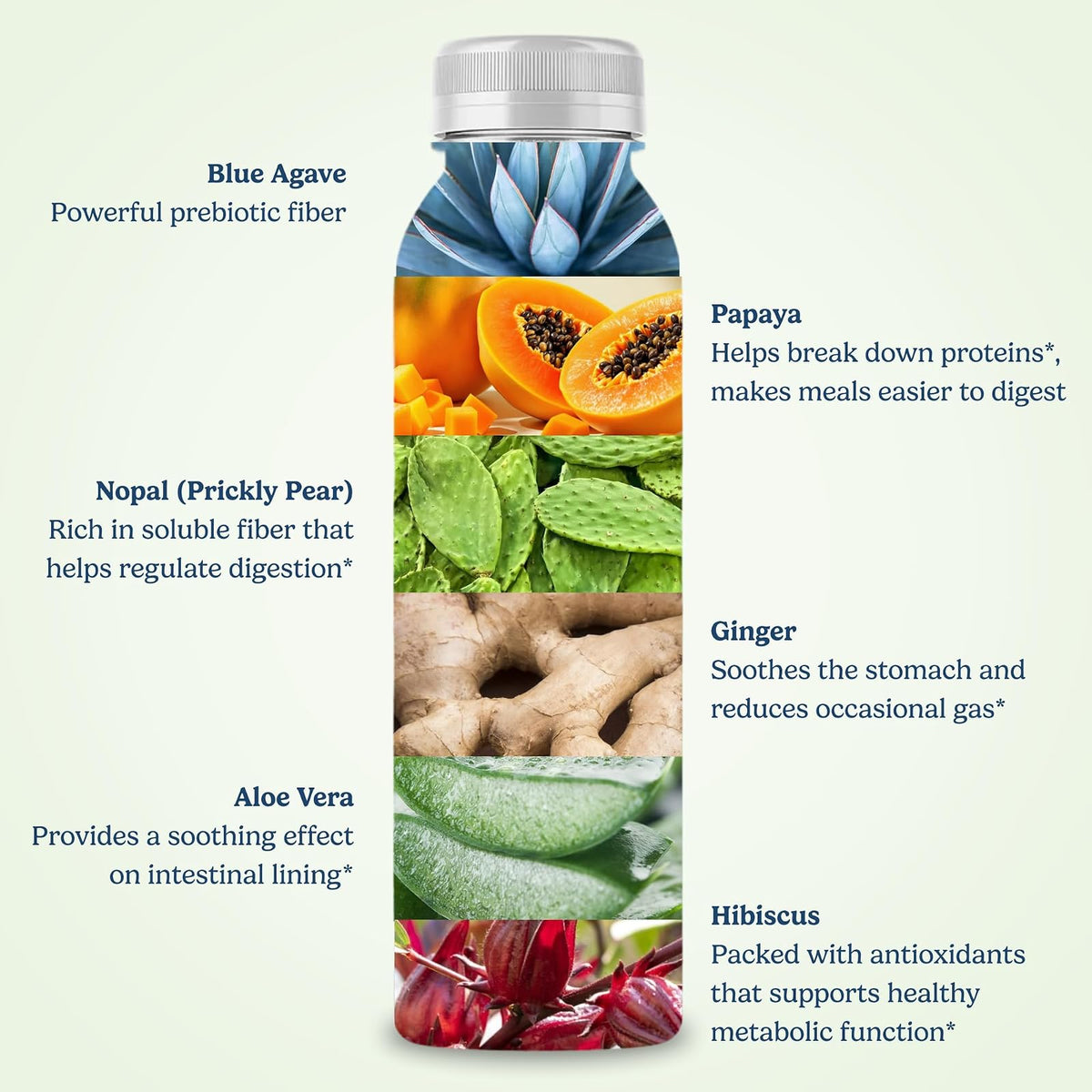 Santo Remedio digestion aid with agave