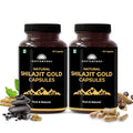 Saptamveda blended vitamin supplements for men