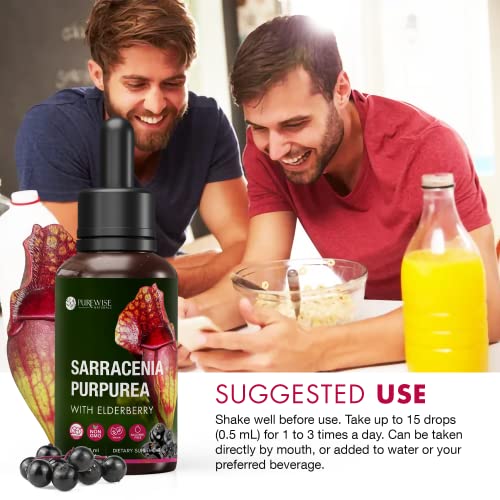 Sarracenia Purpurea elderberry health benefits