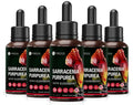Sarracenia Purpurea elderberry immune support