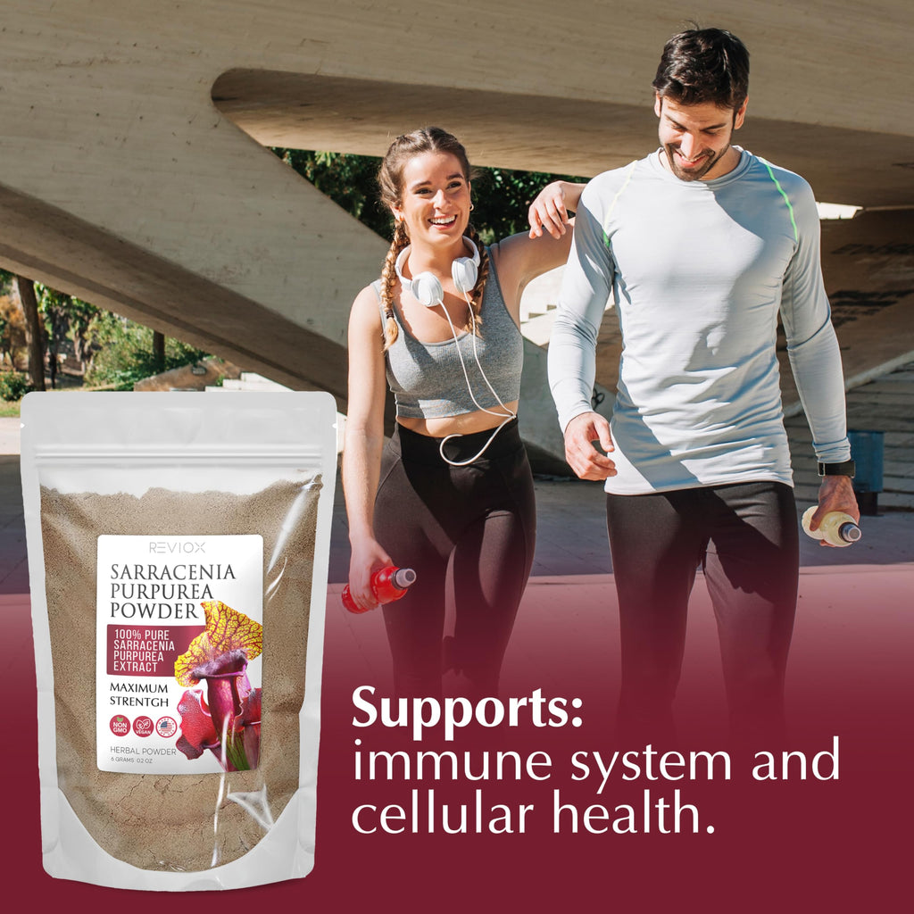 Sarracenia Purpurea for daily nutrition