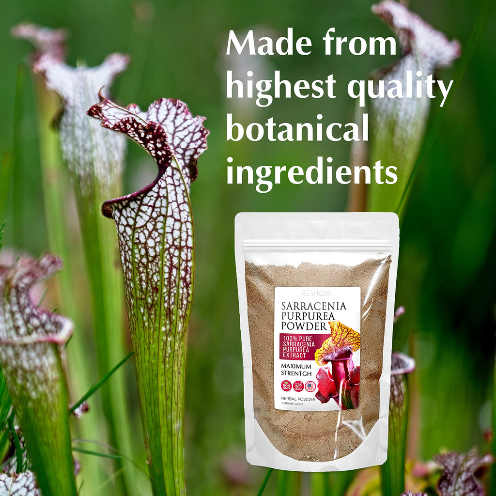 Sarracenia Purpurea for immune support