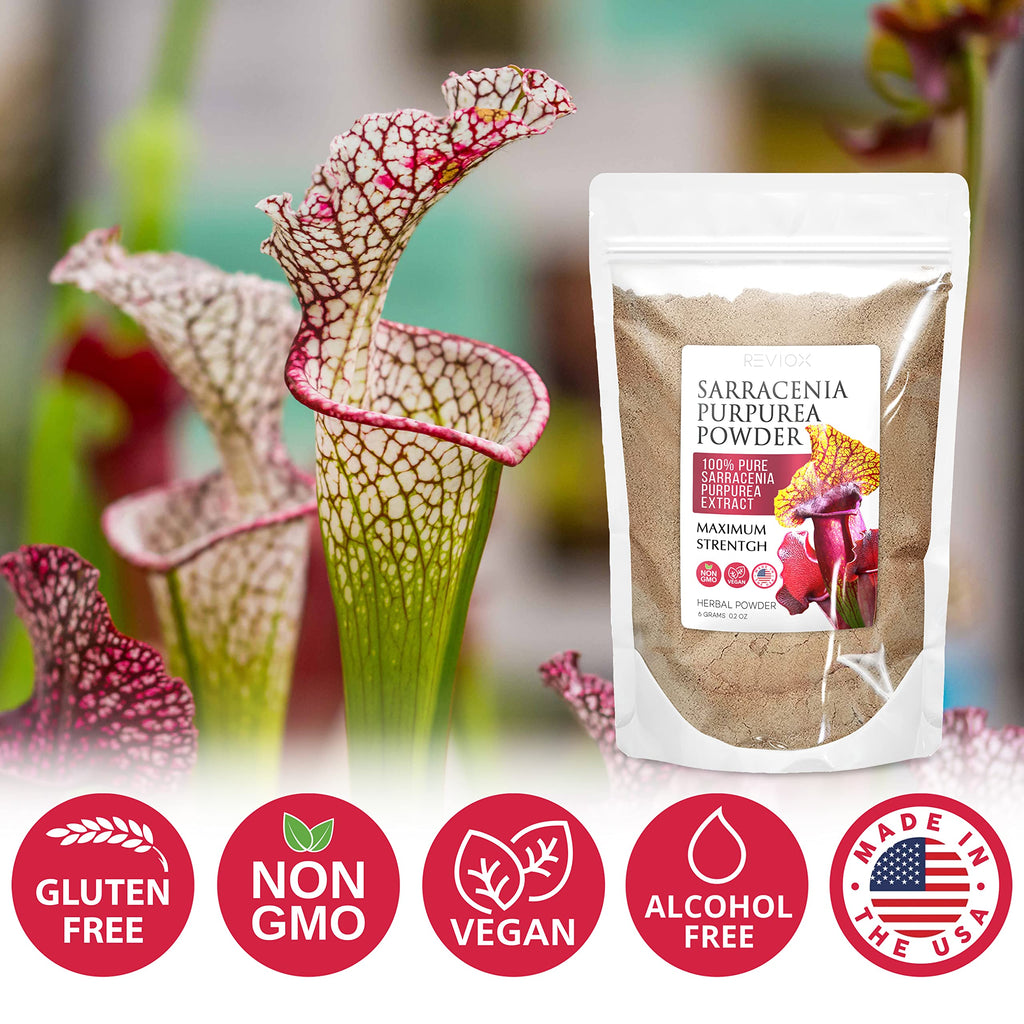 Sarracenia Purpurea health benefits