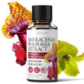 Sarracenia Purpurea herbal tincture benefits