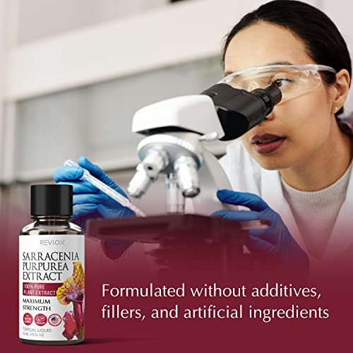 Sarracenia Purpurea tincture for energy