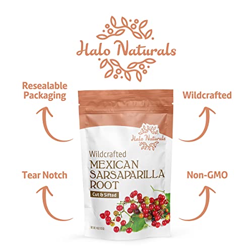 sarsaparilla root for everyday wellness