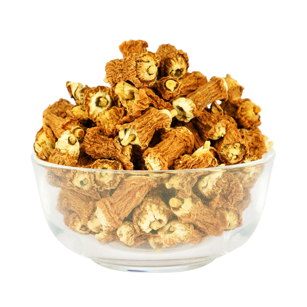 sarsaparilla root for wellness benefits