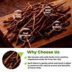 Sarsaparilla root tea for detox