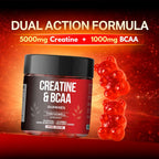 SASH Vitality creatine for muscle recovery