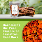 sassafras root for soothing brews