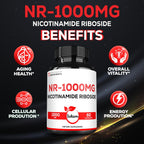Satoomi capsules for cellular health