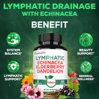 Satoomi echinacea for immune support