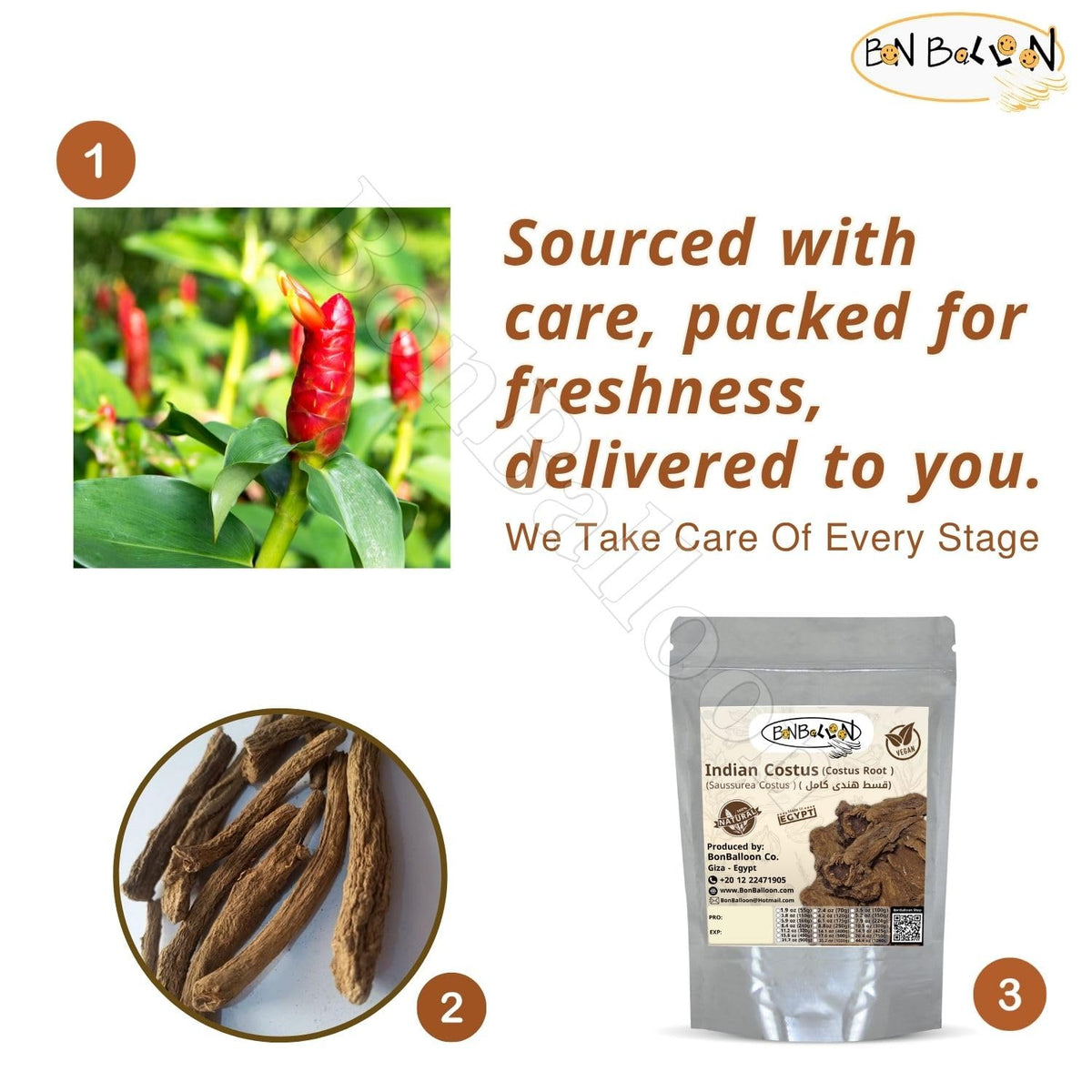 Saussurea Costus root tea for digestion