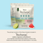 SAVVY electrolyte powder for daily wellness