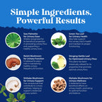 saw palmetto and beta sitosterol
