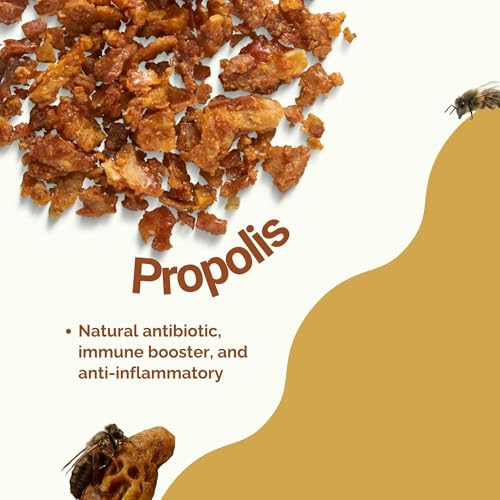 saw palmetto and horsetail extract