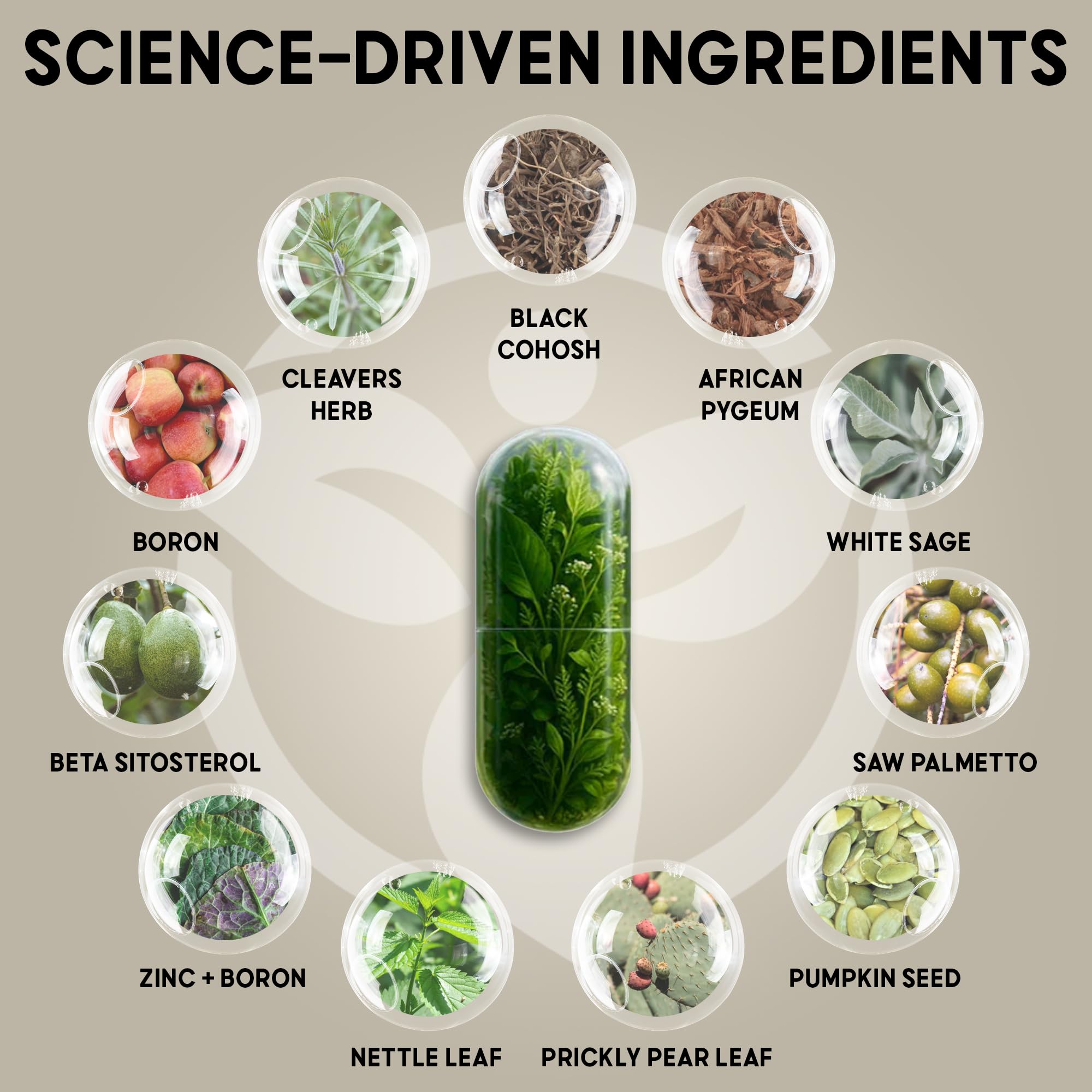 Saw palmetto and pumpkin seed oil