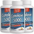 saw palmetto capsules for hair growth