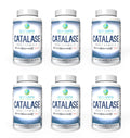 saw palmetto enzyme supplement benefits