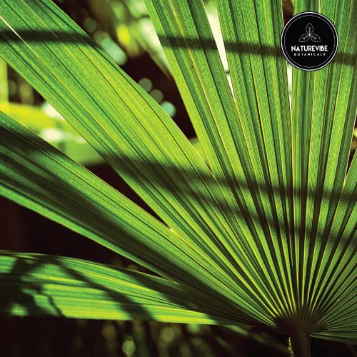 saw palmetto extract for hormonal balance