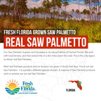 saw palmetto extract for hormonal balance