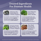 saw palmetto extract for men