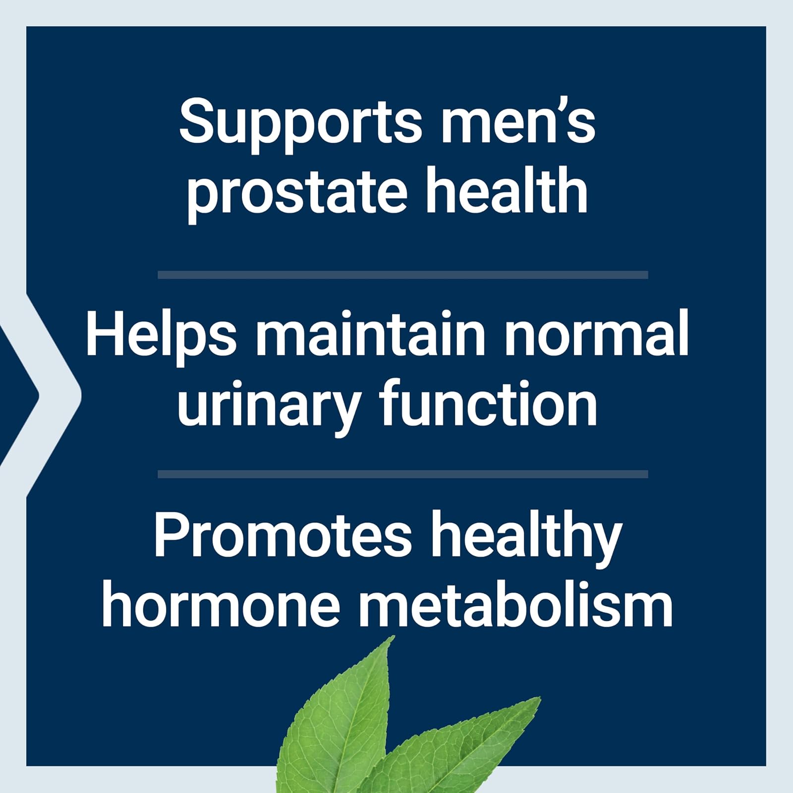 saw palmetto extract for men