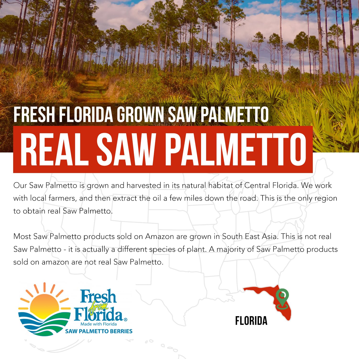 saw palmetto extract for urinary health