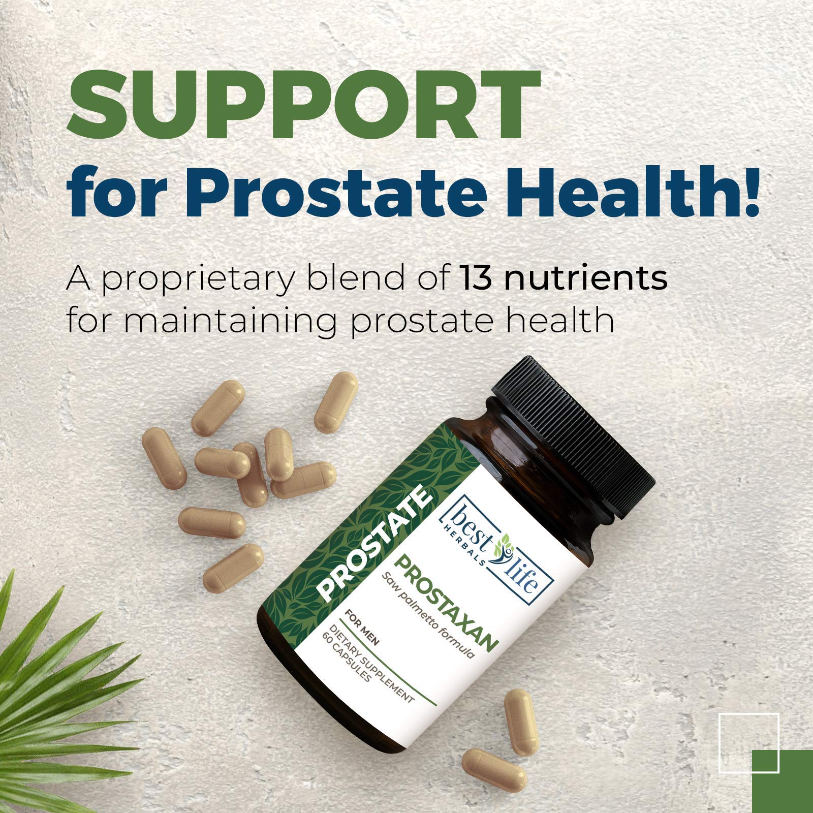 saw palmetto for bladder health
