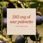 saw palmetto for hair support
