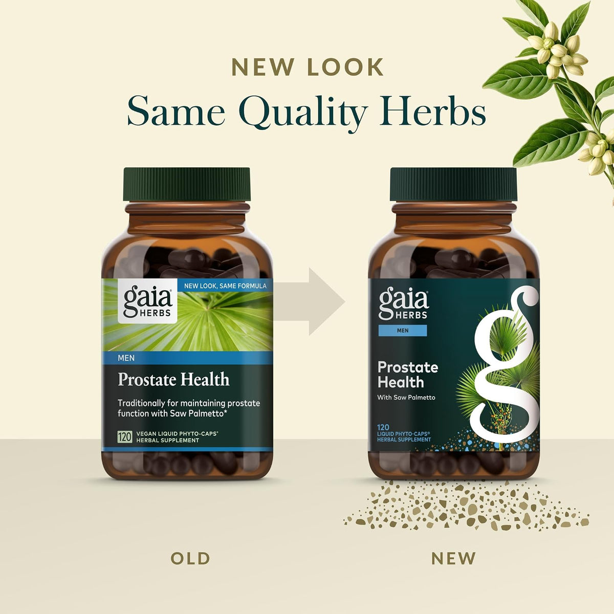 saw palmetto for men's health